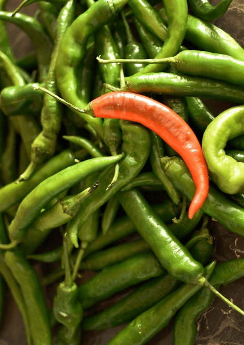Serrano | Latin Specialties